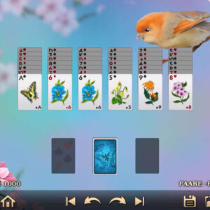Summertime Solitaire - Experience 150 solitaire variations