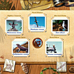 Paradise Quest - Embark on a wild Match-3 puzzle adventure for excitement